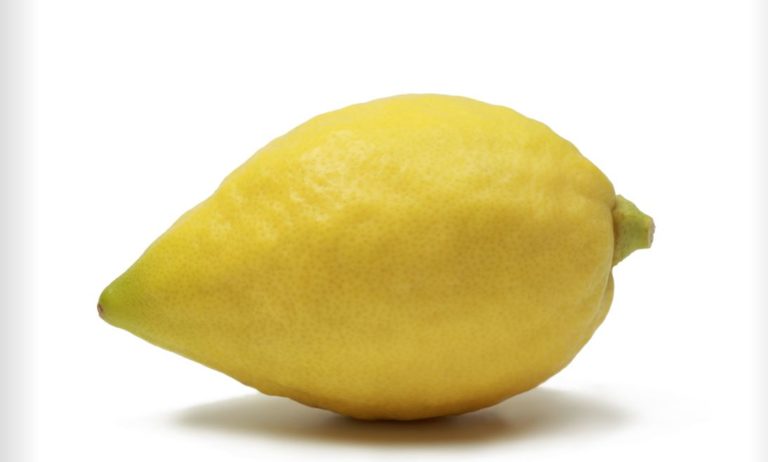 Esrog Shopper – The Voice of Lakewood